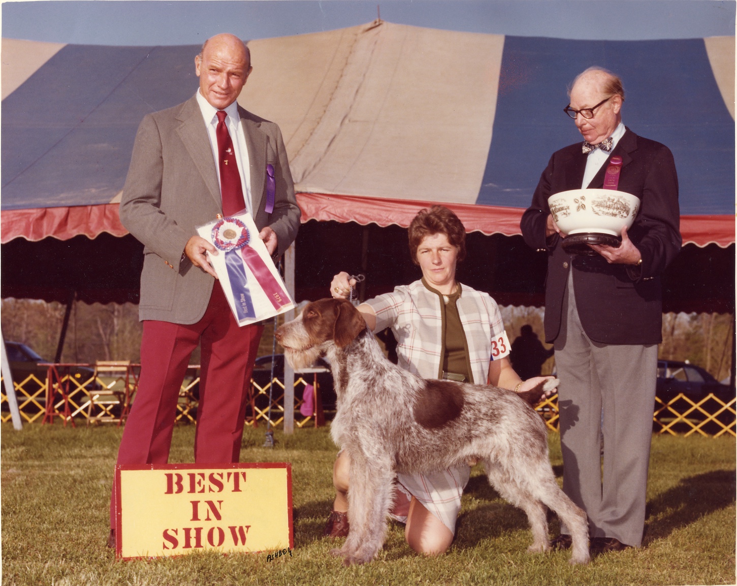GWPCA National Best in Specialty Show Winners – German Wirehaired ...