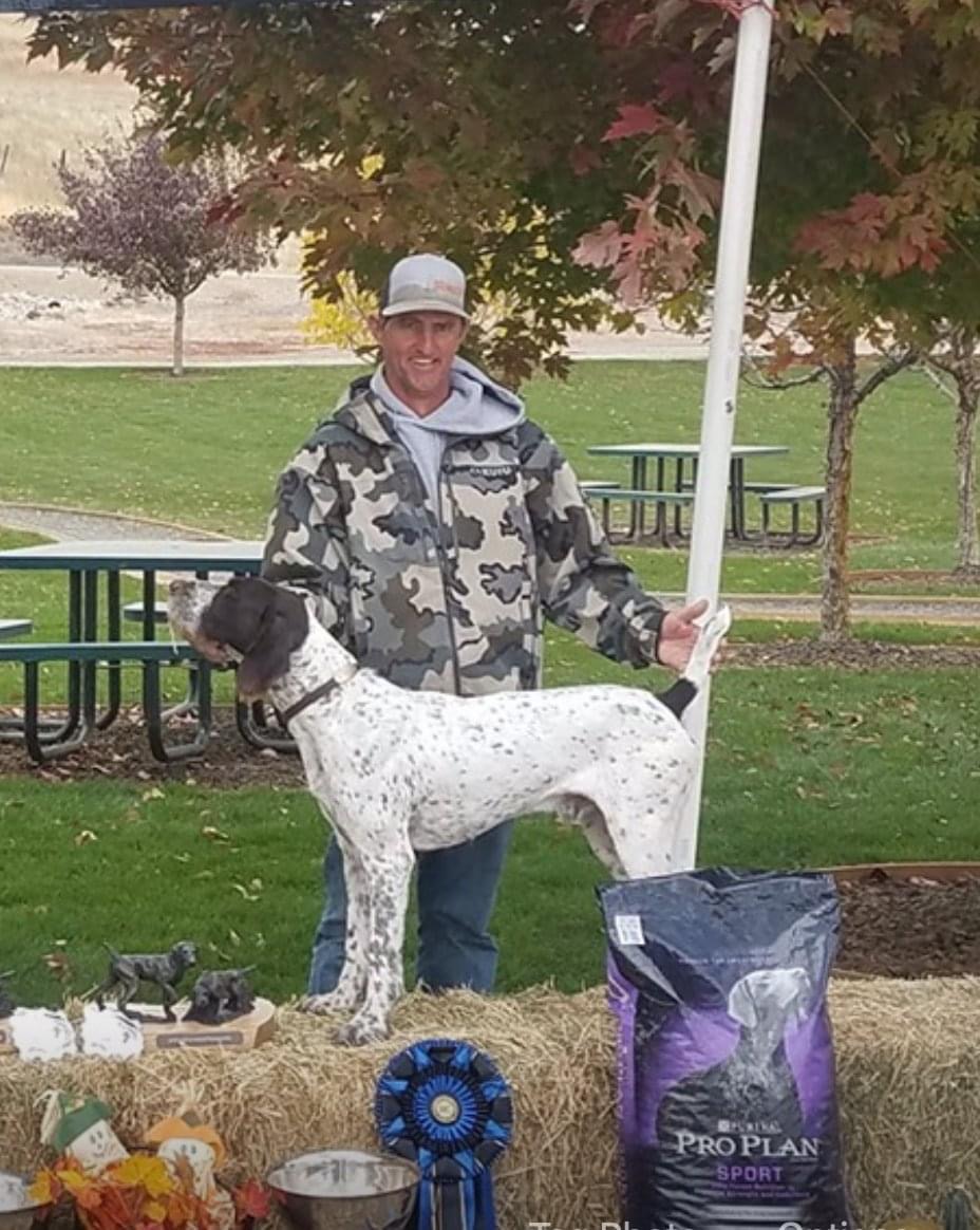 GWPCA National Field Champions – German Wirehaired Pointer Club of America