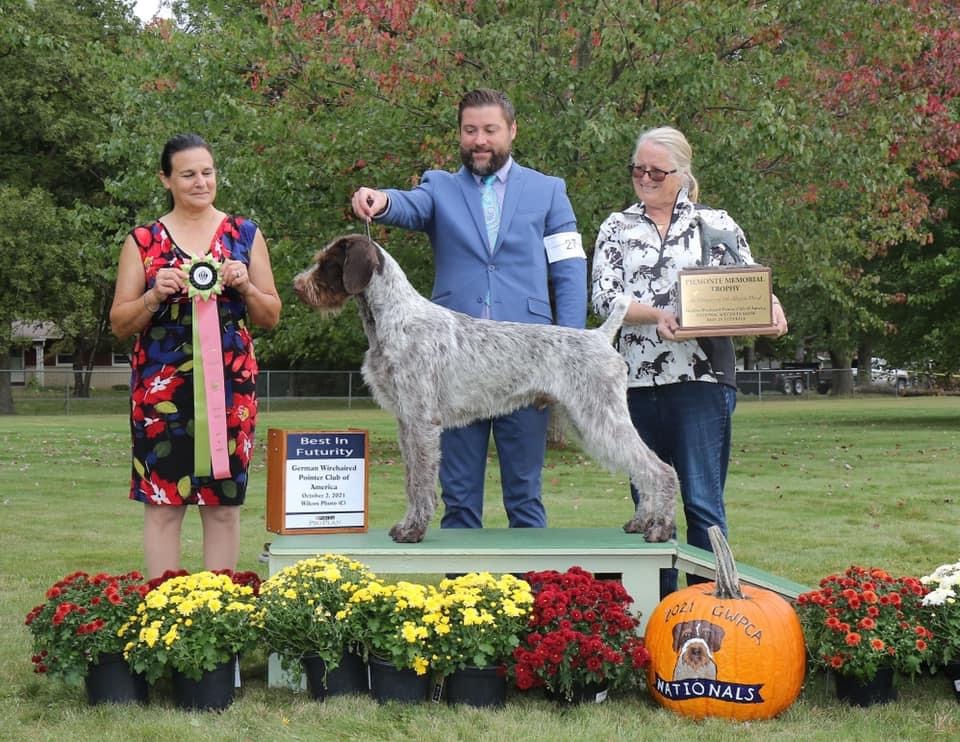 2021 GWPCA National Results – German Wirehaired Pointer Club of America