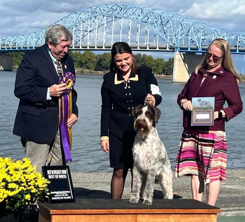2022 GWPCA Regional Specialty Show Results – German Wirehaired Pointer ...